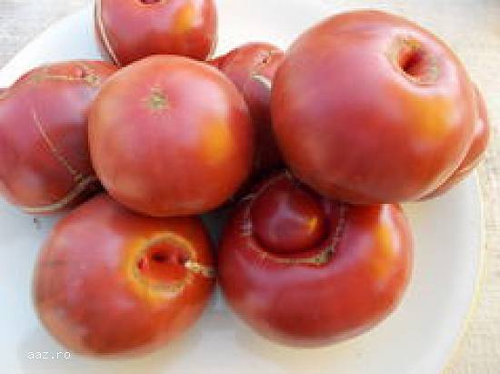 Producator seminte de legume si fructe aclimatizate in Romania.