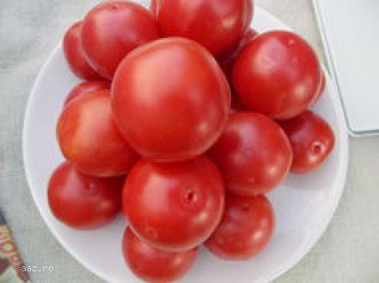 Producator seminte de legume si fructe aclimatizate in Romania.