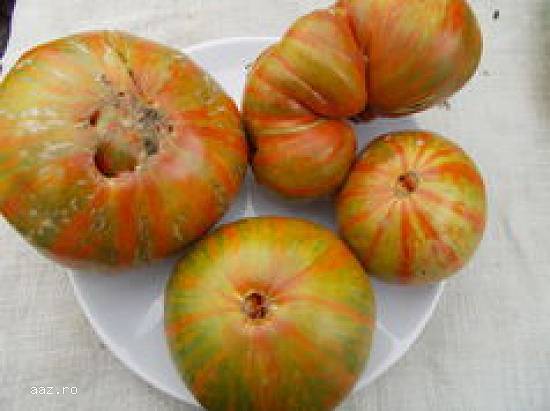 Producator seminte de legume si fructe aclimatizate in Romania.