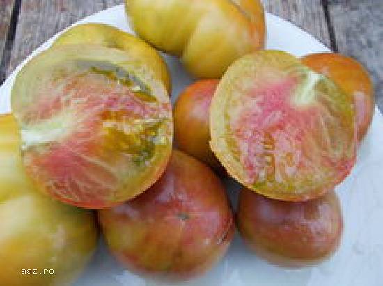 Producator seminte de legume si fructe aclimatizate in Romania.